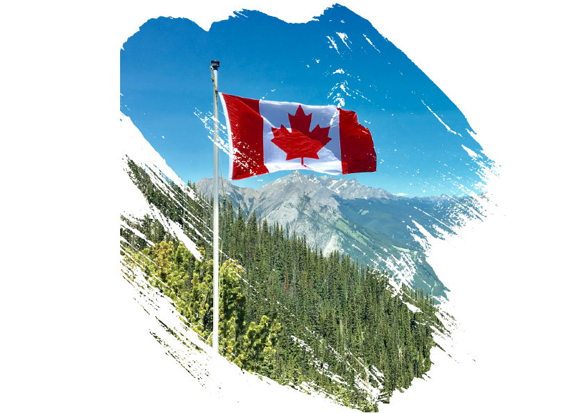 Study Abroad Platform for International Students | Flying Chalks