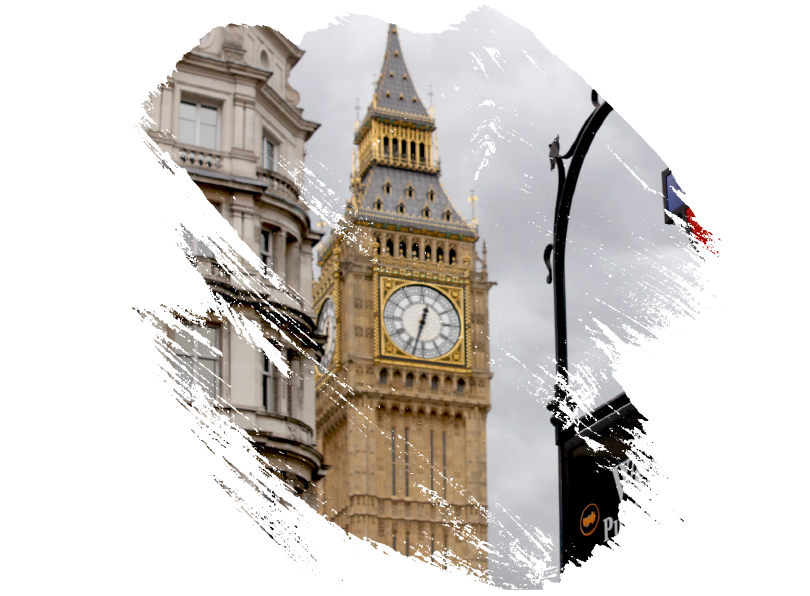 Study Abroad Platform for International Students | Flying Chalks