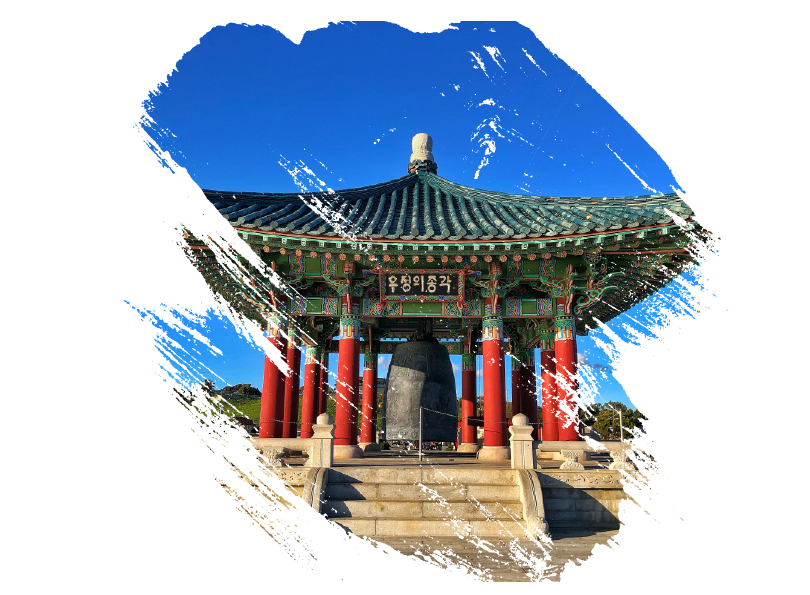 Study Abroad Platform for International Students | Flying Chalks