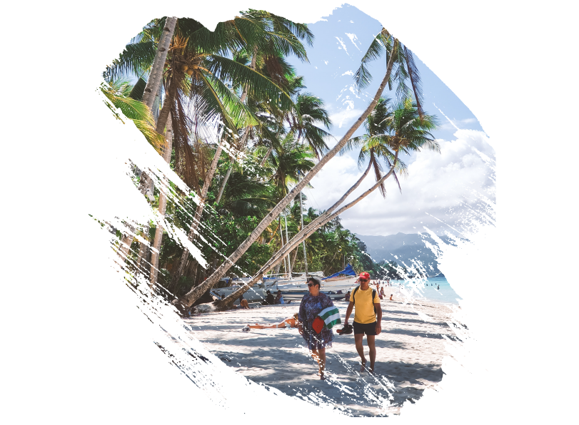 Study Abroad Platform for International Students | Flying Chalks