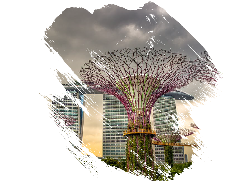 Study Abroad Platform for International Students | Flying Chalks