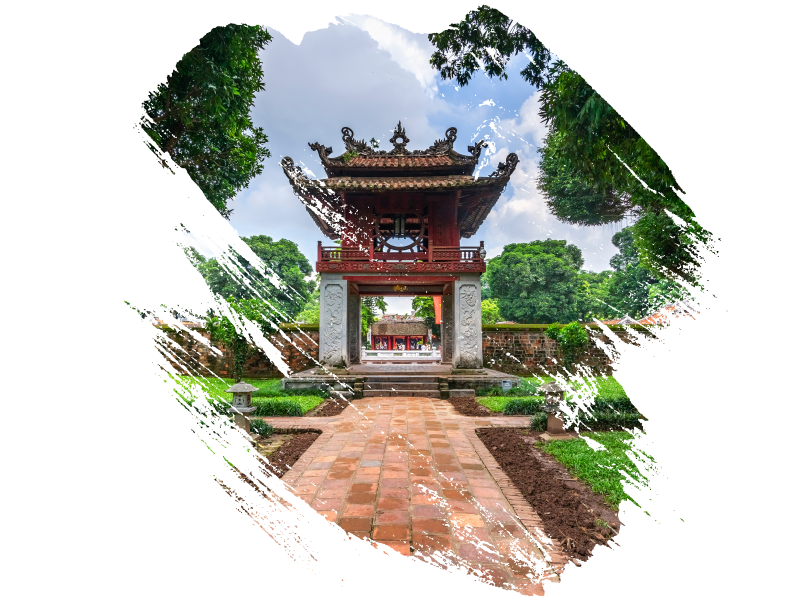 Study Abroad Platform for International Students | Flying Chalks